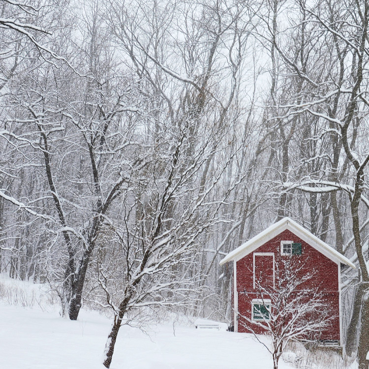 Winter Renovation | Blog | Roger + Chris