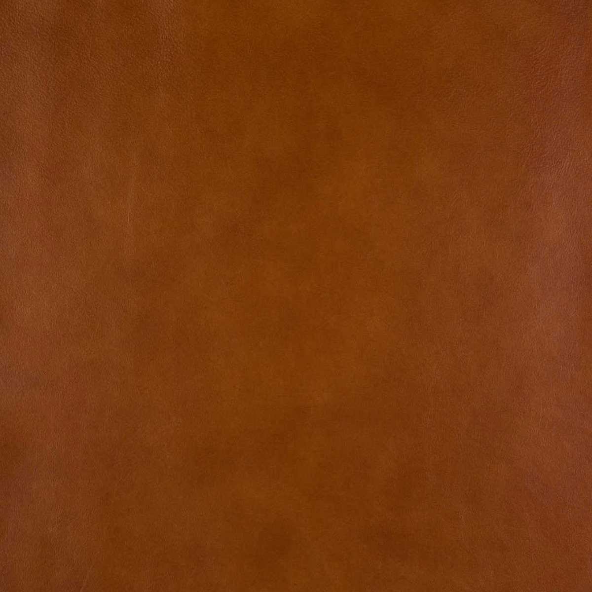 Firenze Leather | Swatches | ROGER + CHRIS